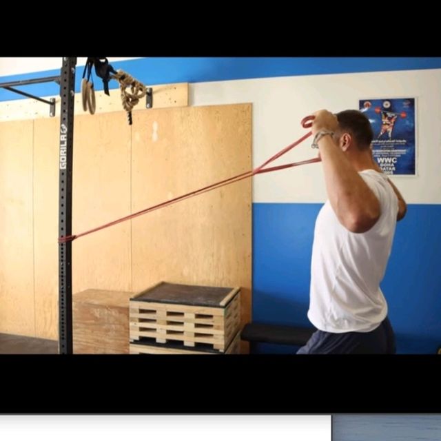 Face Pulls K by Kristine Norton - Exercise How-to - Skimble