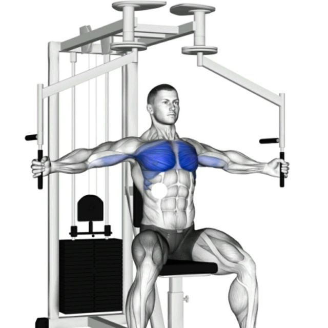 Peck Deck by Juan Luis M. - Exercise How-to - Skimble