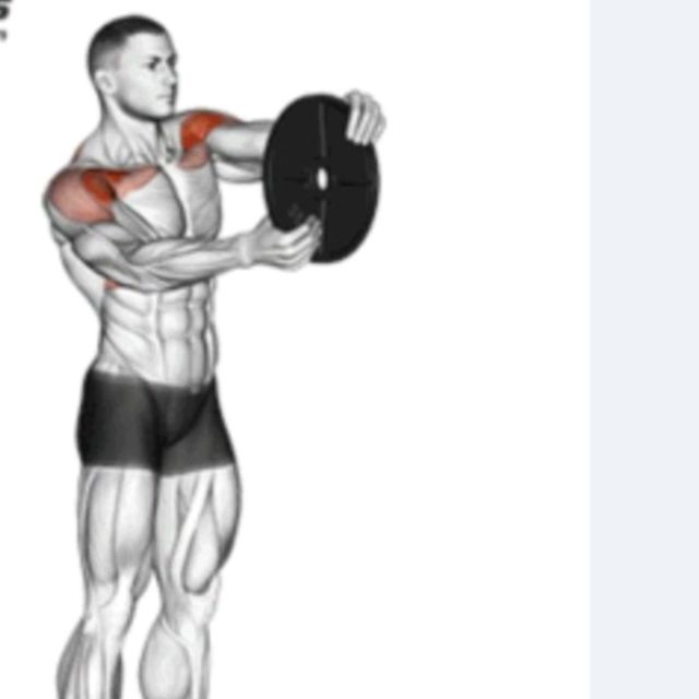 Circular Plate Raises by 𝔻𝕖𝕤𝕖𝕣𝕥 𝔽𝕠𝕩🦊 🌟 - Exercise How-to - Skimble