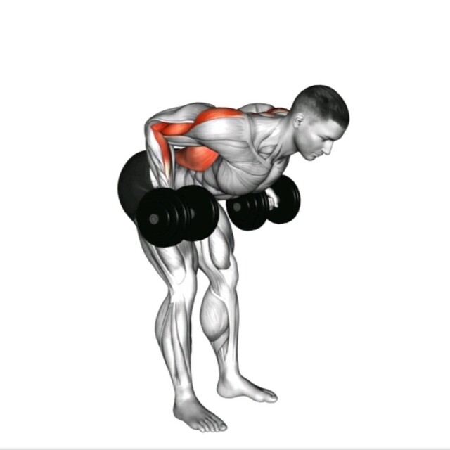 Reverse Grip Bent Over Row by Ricardo N. - Exercise How-to - Skimble