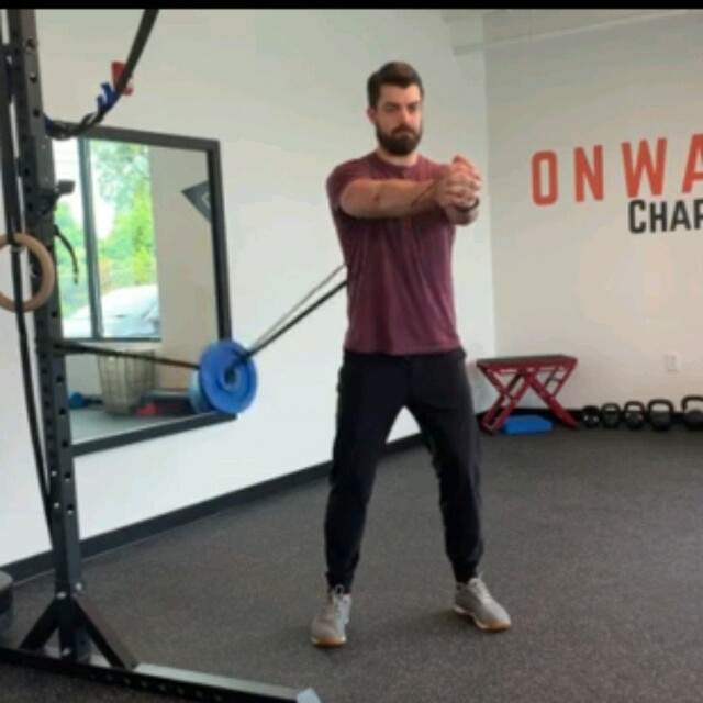 Pallof Press Chaos Band by Alex 🌊. - Exercise How-to - Skimble