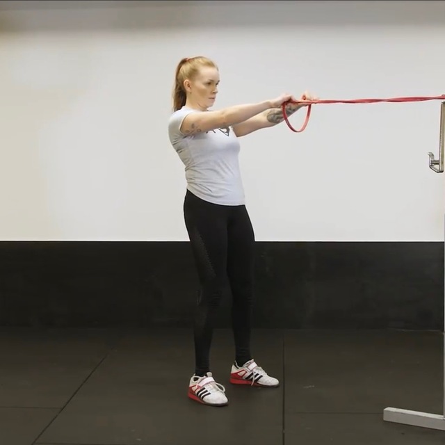 Face Pull With Band by Ömer Köseoğlu - Exercise How-to - Skimble