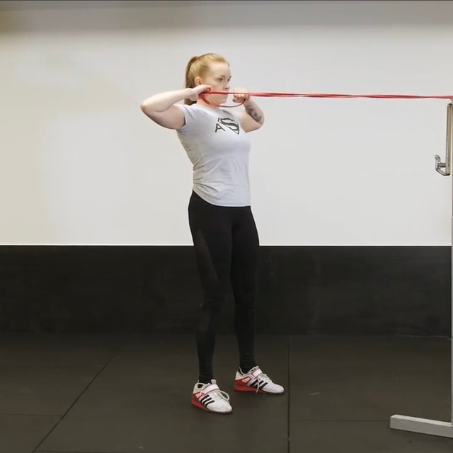 Face Pull With Band by Ömer Köseoğlu - Exercise How-to - Skimble