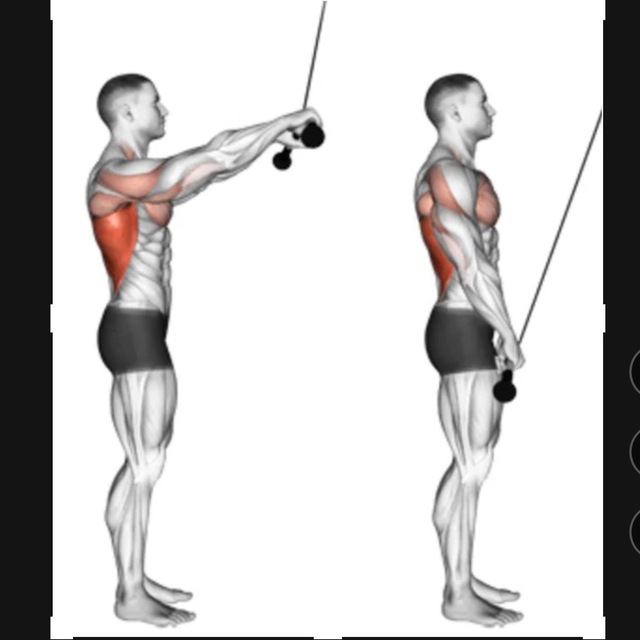 Cable Straight Arm Pulldowns by Elliott Konieczka - Exercise How-to ...
