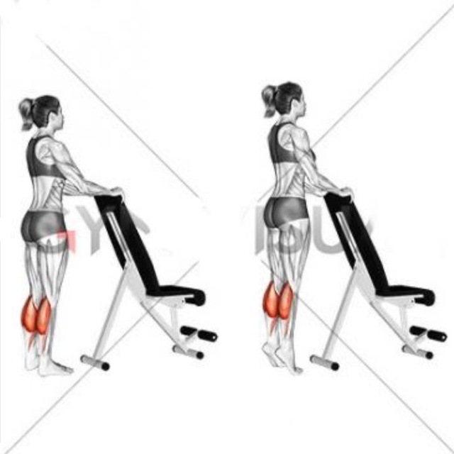 Standing Calf Raise by Elliott Konieczka - Exercise How-to - Skimble