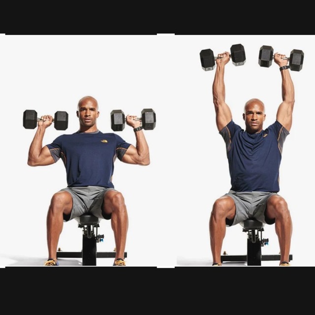 Seated Military Press by Elliott Konieczka - Exercise How-to - Skimble