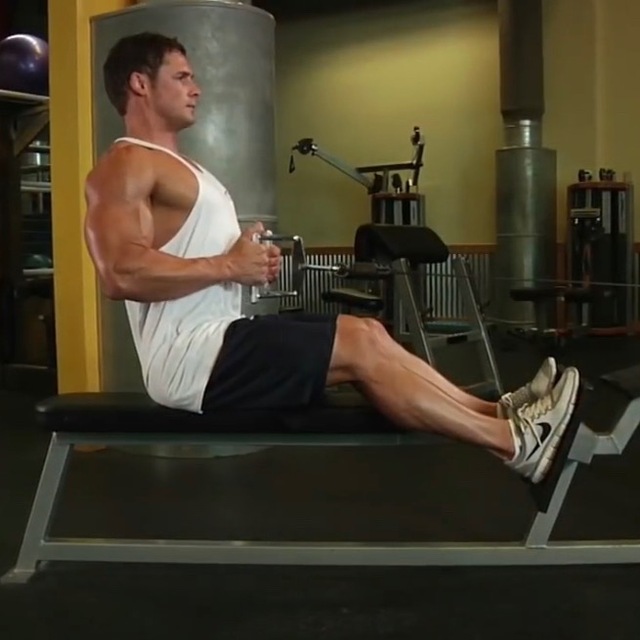 Seated Cable Rows by Joshua Lion - Exercise How-to - Skimble
