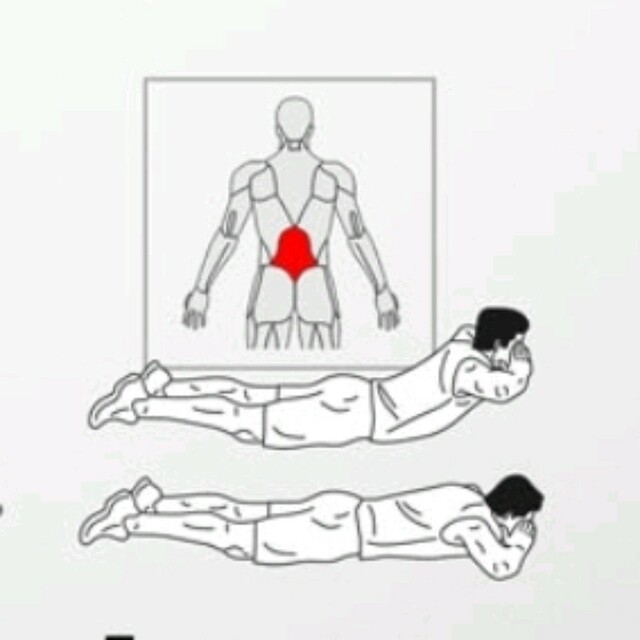 Back Extension by Cody R. - Exercise How-to - Skimble