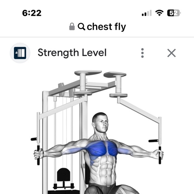 Chest Fly by Stacey S. - Exercise How-to - Skimble