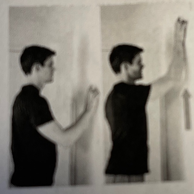 Wall Walk by Courtney Gulledge Gibeault - Exercise How-to - Skimble