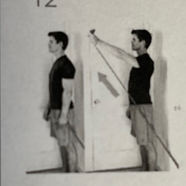 Elastic Band Shoulder Flexion by Courtney Gulledge Gibeault - Exercise ...