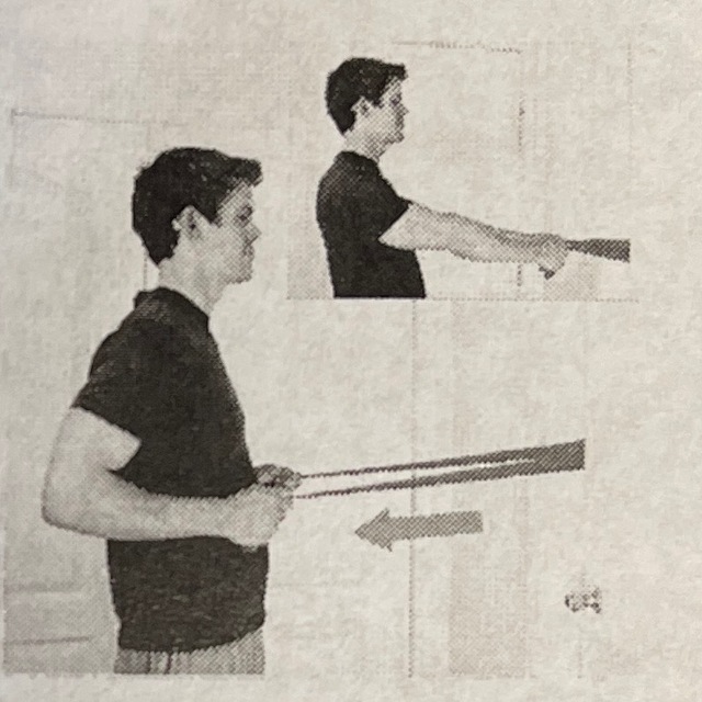 Elastic Band Rows by Courtney Gulledge Gibeault - Exercise How-to - Skimble