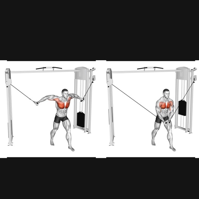 Downward Cable Pec Fly by Elliott Konieczka - Exercise How-to - Skimble