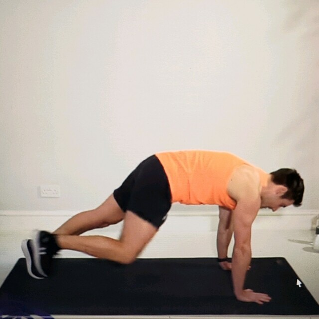 Rotating Mountain Climbers by Frank Roodenburg - Exercise How-to - Skimble