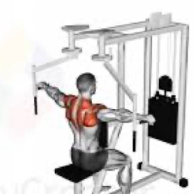 Reverse Flyes by Neale Davis - Exercise How-to - Skimble