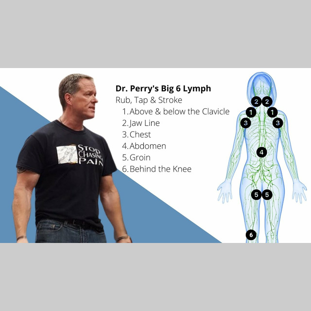 "Big 6" Routine for Lymph Flow by Dr. Perry Nickelston - Free Full Body ...