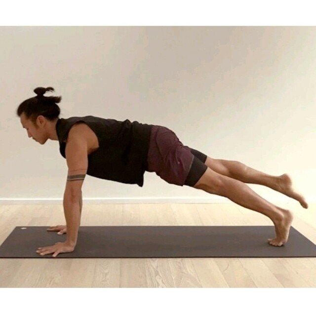 One-Legged Plank by Ricardo Nunez - Exercise How-to - Skimble