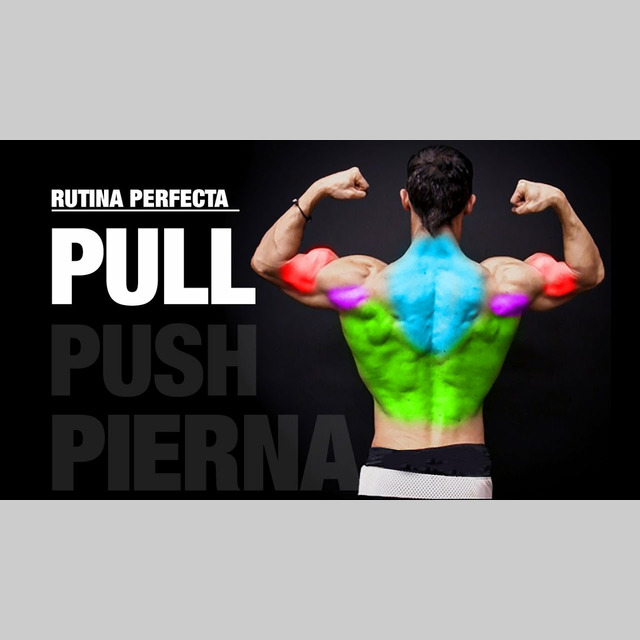 La Rutina Perfecta PULL / JALAR (PUSH | PULL | PIERNAS) - Moderate ...