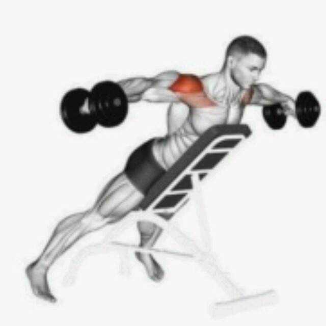 Db Lateral Raise 45-Degrees Incline by David Morgan - Exercise How-to ...