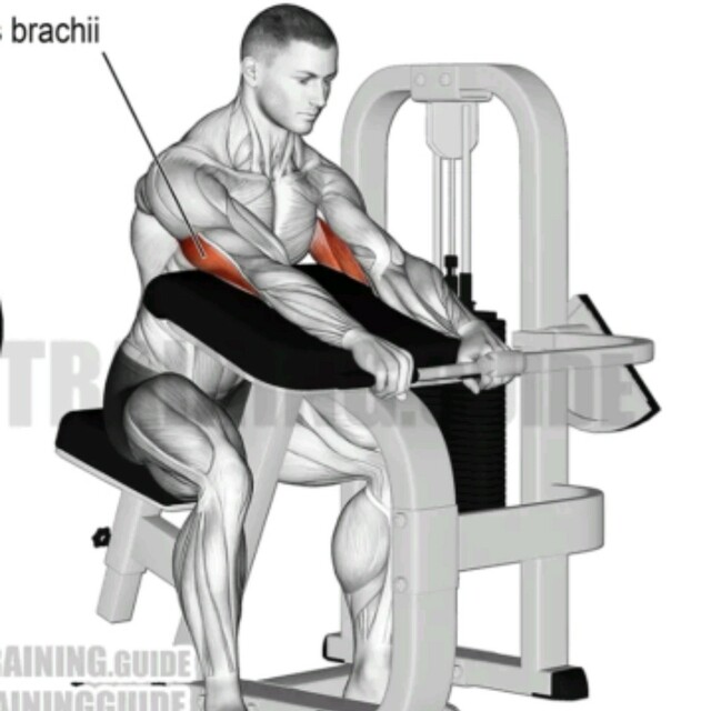 Machine Tricep Extensions by David Morgan - Exercise How-to - Skimble