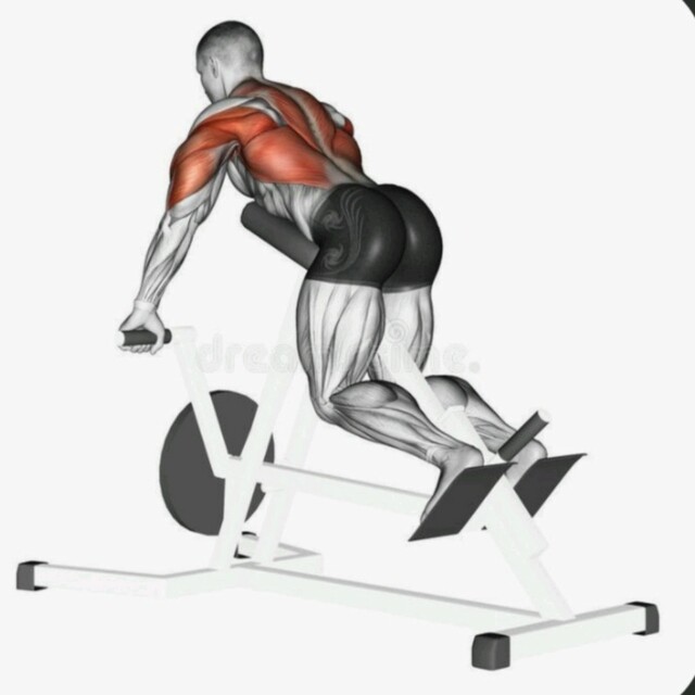 T Bar Row by David Morgan - Exercise How-to - Skimble