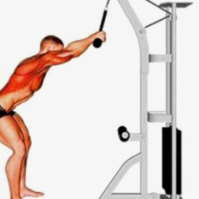 Cable Pulldowns by David Morgan - Exercise How-to - Skimble