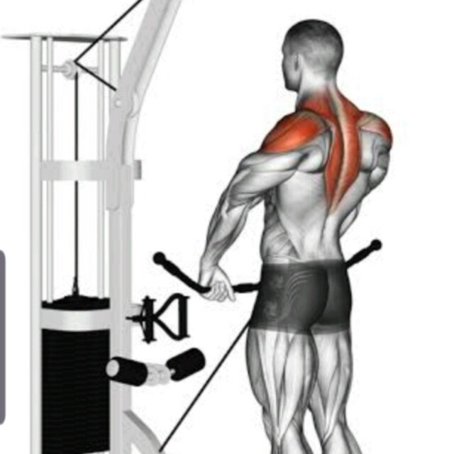 Cable Upright Row by David Morgan - Exercise How-to - Skimble