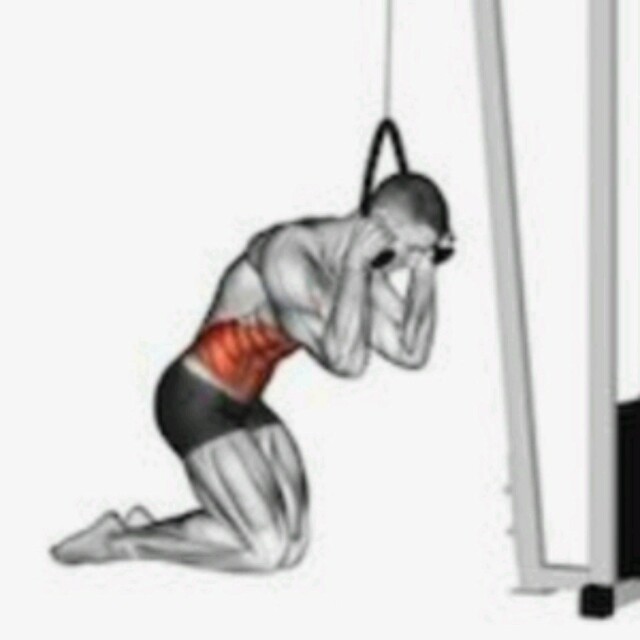 Cable Crunches by David Morgan - Exercise How-to - Skimble