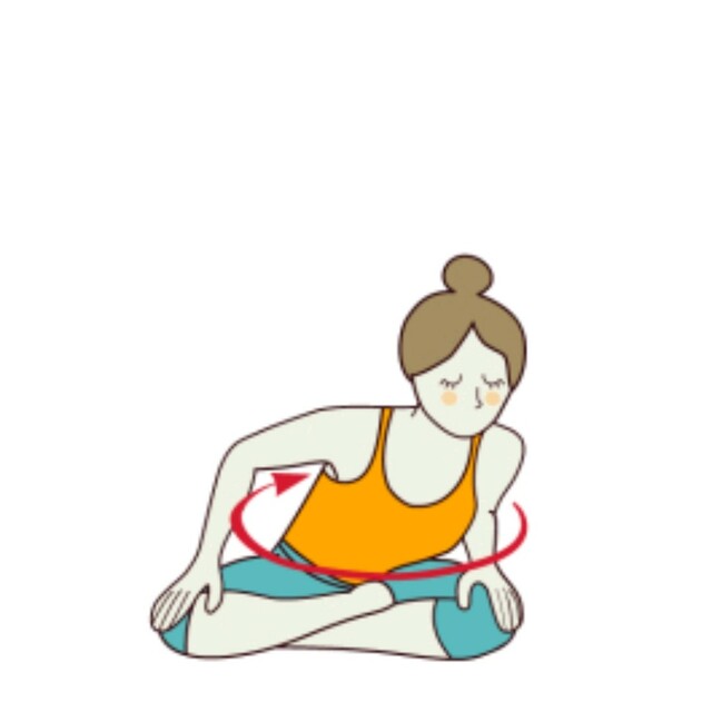 Seated Torso Circles by 𝔻𝕖𝕤𝕖𝕣𝕥 𝔽𝕠𝕩🦊 🌟 - Exercise How-to - Skimble