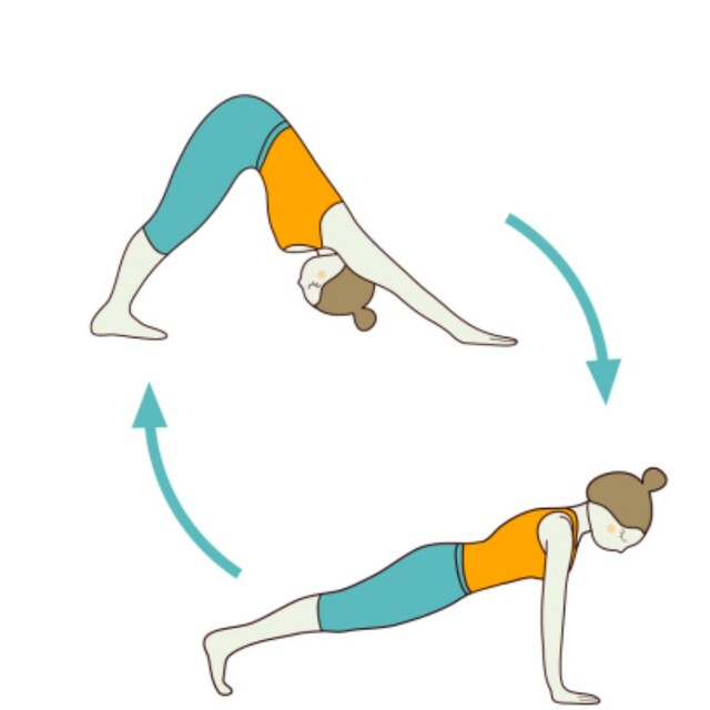 Downward Dog To Plank Flow by 𝔻𝕖𝕤𝕖𝕣𝕥 𝔽𝕠𝕩🦊 🌟 - Exercise How-to - Skimble