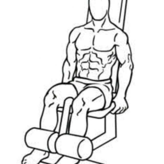 Knee Extension Machine by Fred Ribeiro - Exercise How-to - Skimble