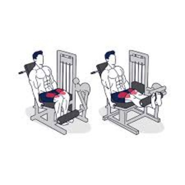 Leg Extension Machine by Marcov Paniagua - Exercise How-to - Skimble