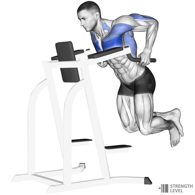 Weighted Dip by Piotr Chopcian - Exercise How-to - Skimble