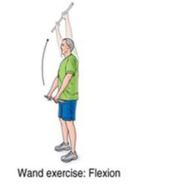 Shoulder Flexion by Ryan Brubacher - Exercise How-to - Skimble