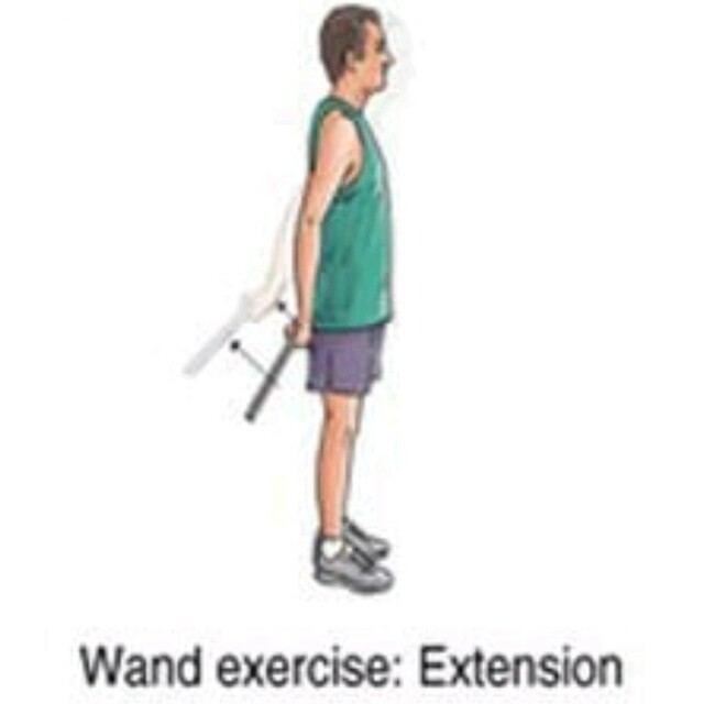 Shoulder Extension by Ryan Brubacher - Exercise How-to - Skimble