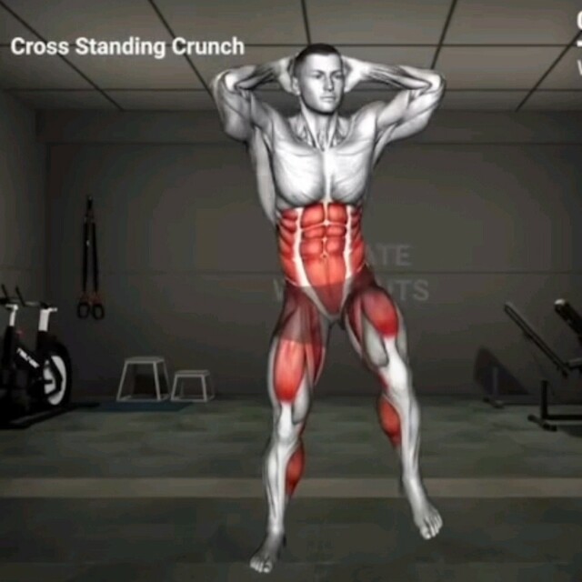 Cross Standing Crunches by Fábio P. - Exercise How-to - Skimble