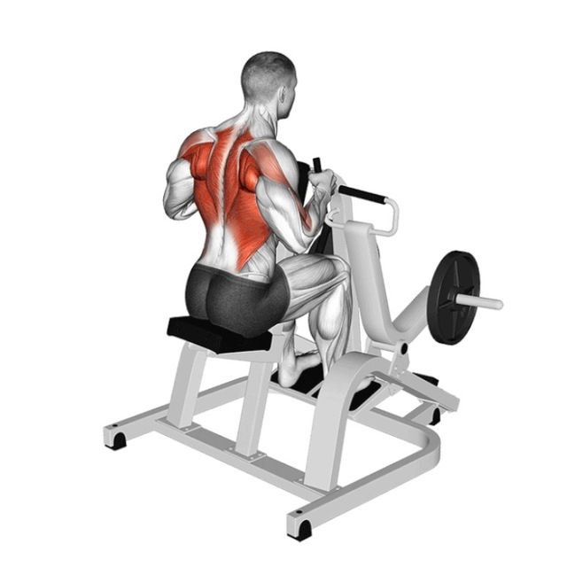 Rowing en prise neutre assis à la machine by Matéo P. - Comment faire ...