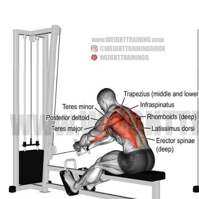Cable Row by Tony Riccardo - Exercise How-to - Skimble