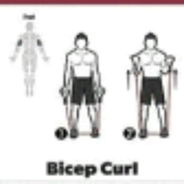 Banded Bicep Curl by Angel Ehrlich - Exercise How-to - Skimble