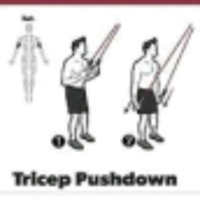 Banded Tricep Pushdown by Angel Ehrlich - Exercise How-to - Skimble