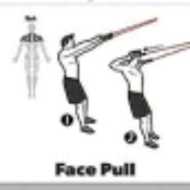 Banded Facepull by Angel Ehrlich - Exercise How-to - Skimble
