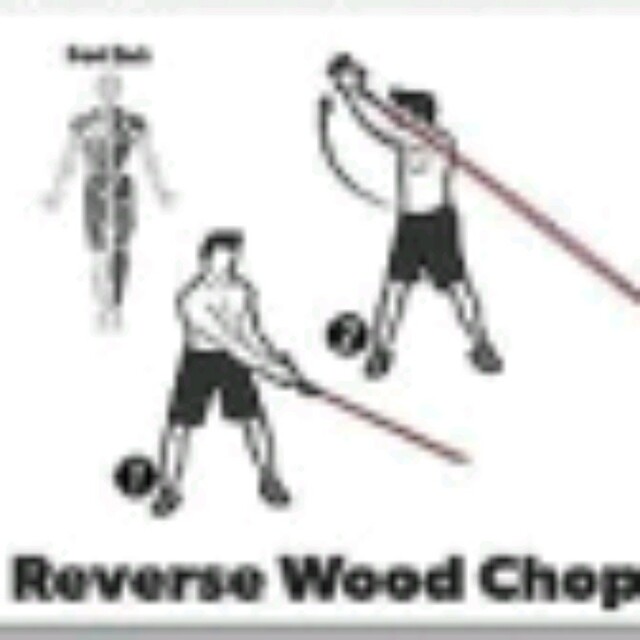 Banded Wood Chops by Angel Ehrlich - Exercise How-to - Skimble
