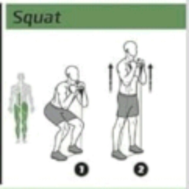 Banded Squat by Angel Ehrlich - Exercise How-to - Skimble