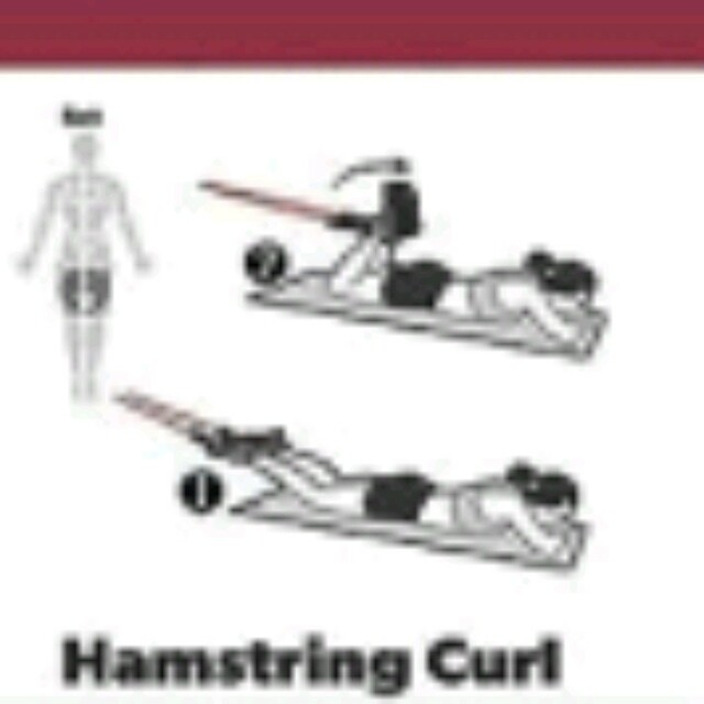 Banded Hamstring Curls by Angel Ehrlich - Exercise How-to - Skimble