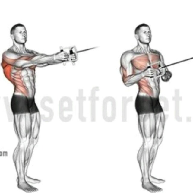 Standing Cable Twisting Row by 𝔻𝕖𝕤𝕖𝕣𝕥 𝔽𝕠𝕩🦊 🌟 - Exercise How-to - Skimble