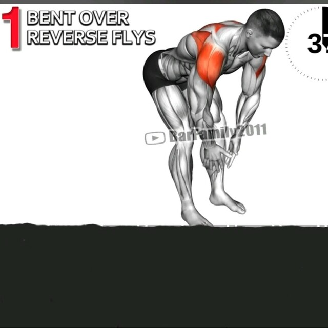 Bent Over Reverse Flys by Isreal E. - Exercise How-to - Skimble