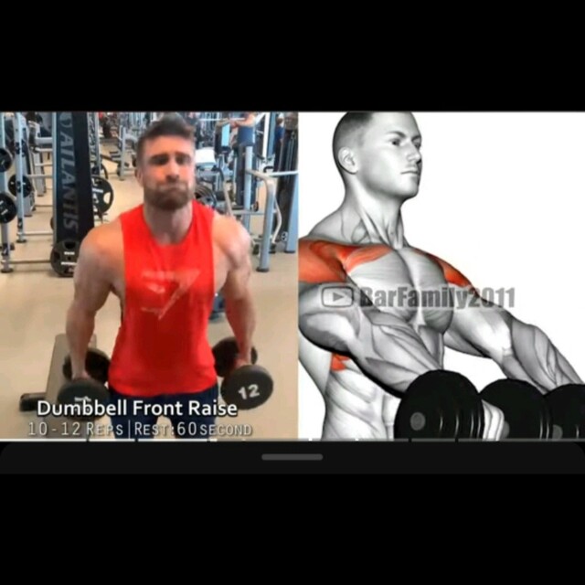 Front Raises by Isreal E. - Exercise How-to - Skimble