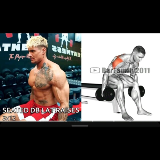 Seated Lat Raises by Isreal E. - Exercise How-to - Skimble