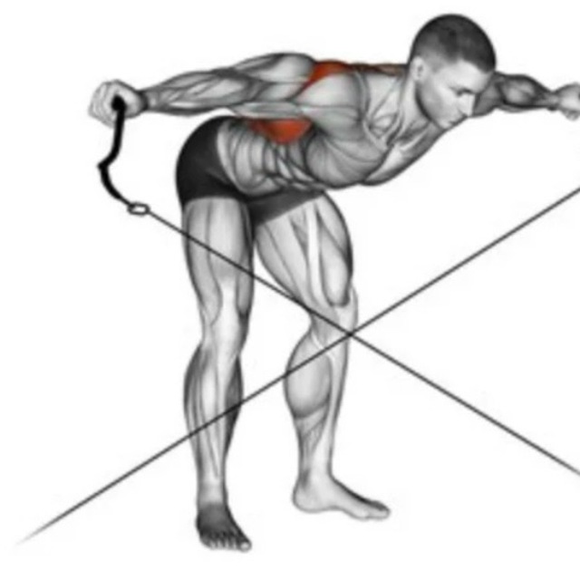 Cable Rear Delt Flyes by Neale Davis - Exercise How-to - Skimble