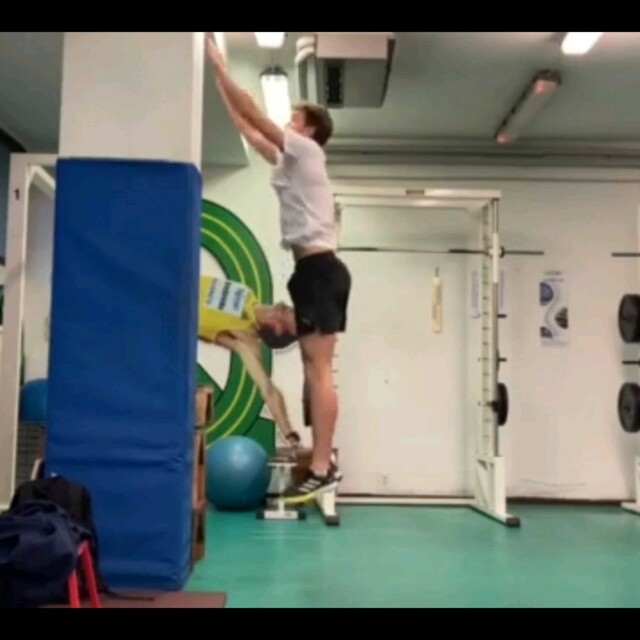 Rim Jump by Timon Jona Martin - Exercise How-to - Skimble